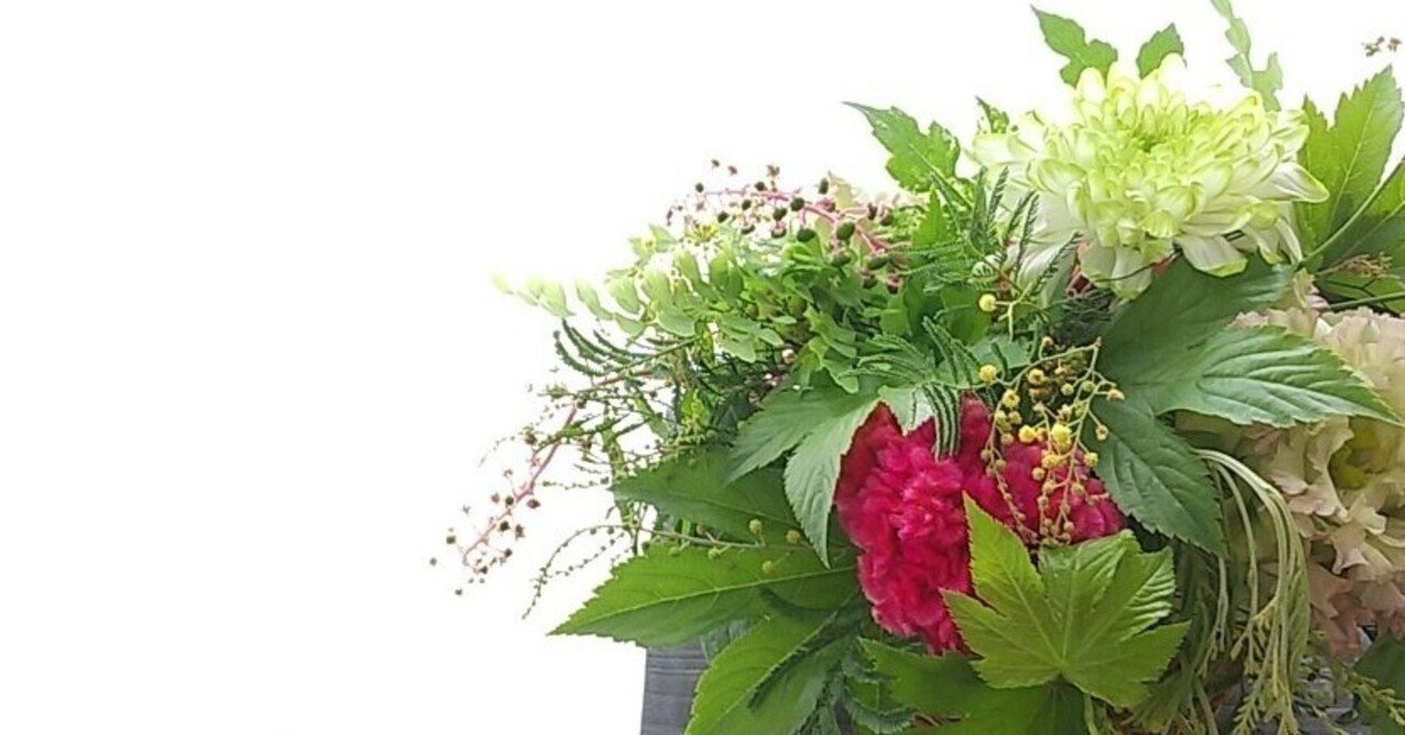 初めまして、RANUNです。｜RANUN