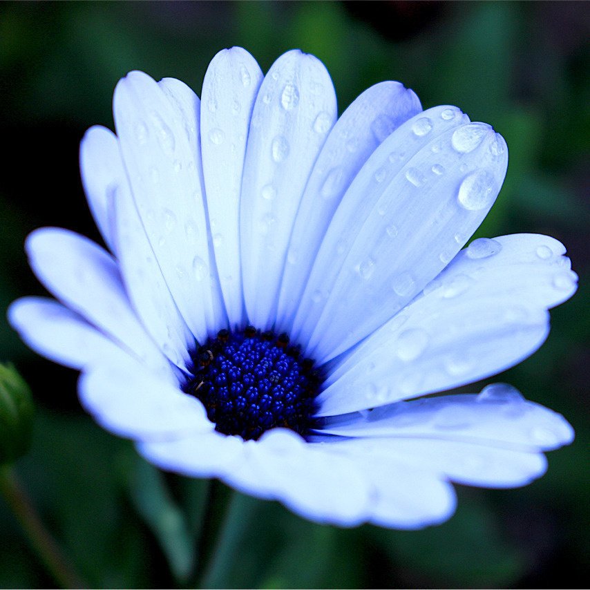 恵雨｜charly_jp｜note