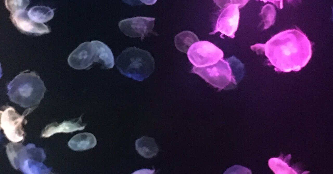 2021年1月｜Ransen