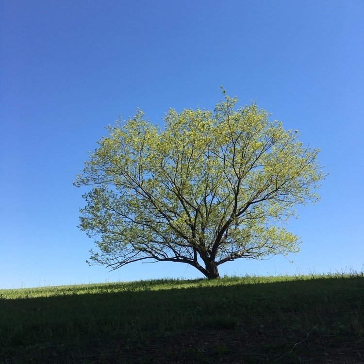 arteniaの記事一覧｜note（ノート）