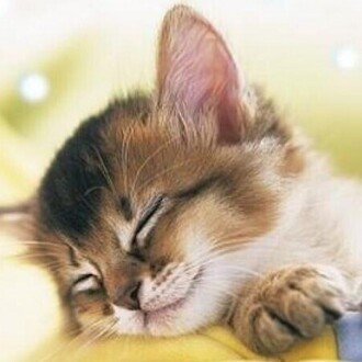 Yusuke Komatsu｜note