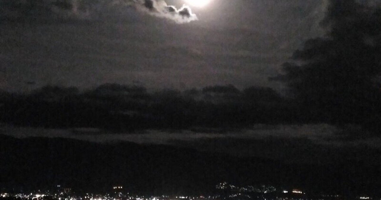 Moon Sick Ep.12｜樹