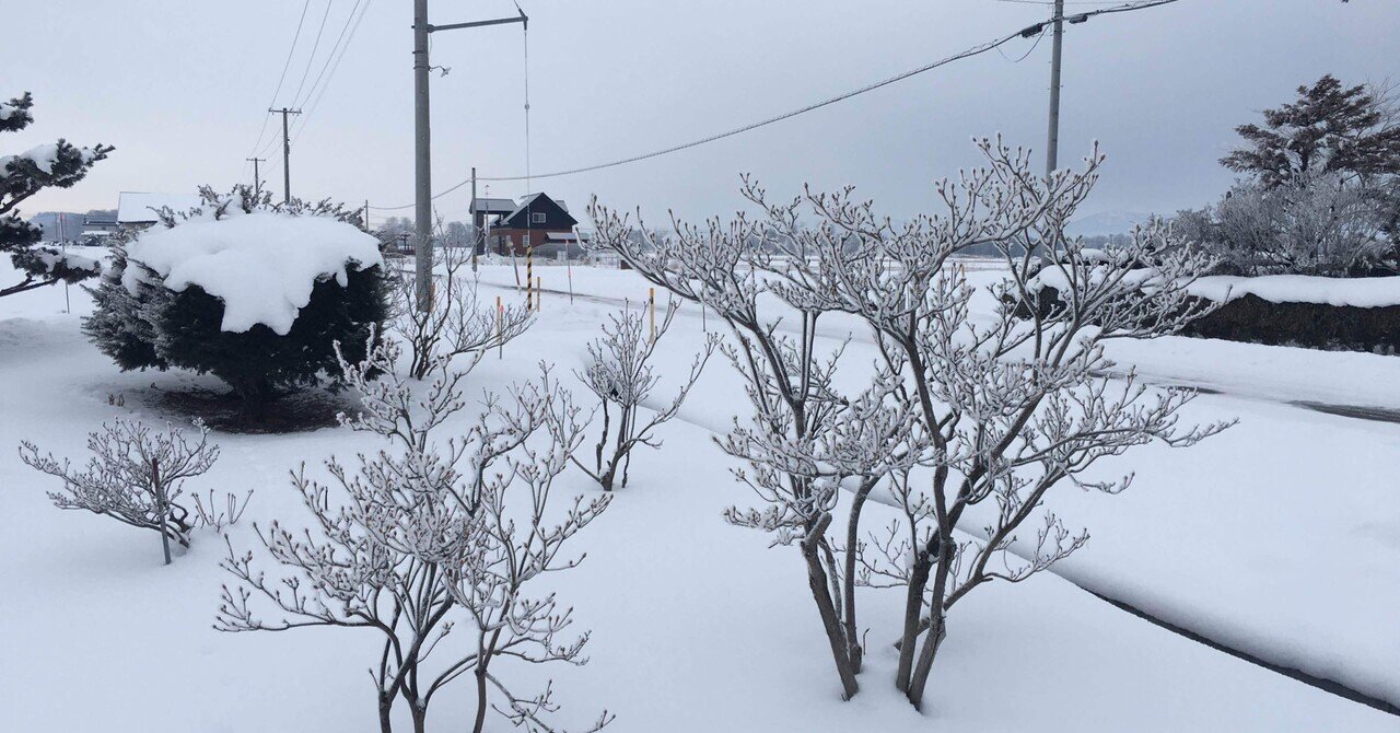 はじめまして ️｜みっちー🌈Michiko Tsukuda