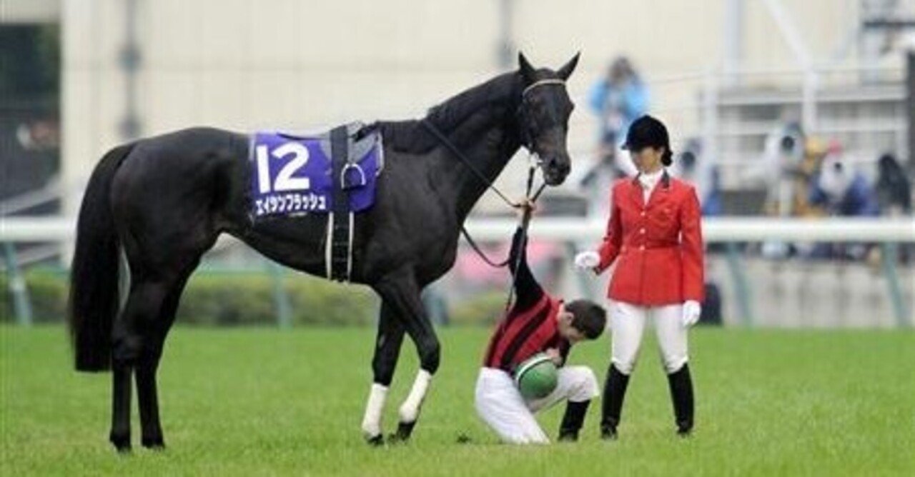 5 carreras del Turf japonés que no podemos perdernos｜中南米競馬情報局 by 木下昂也