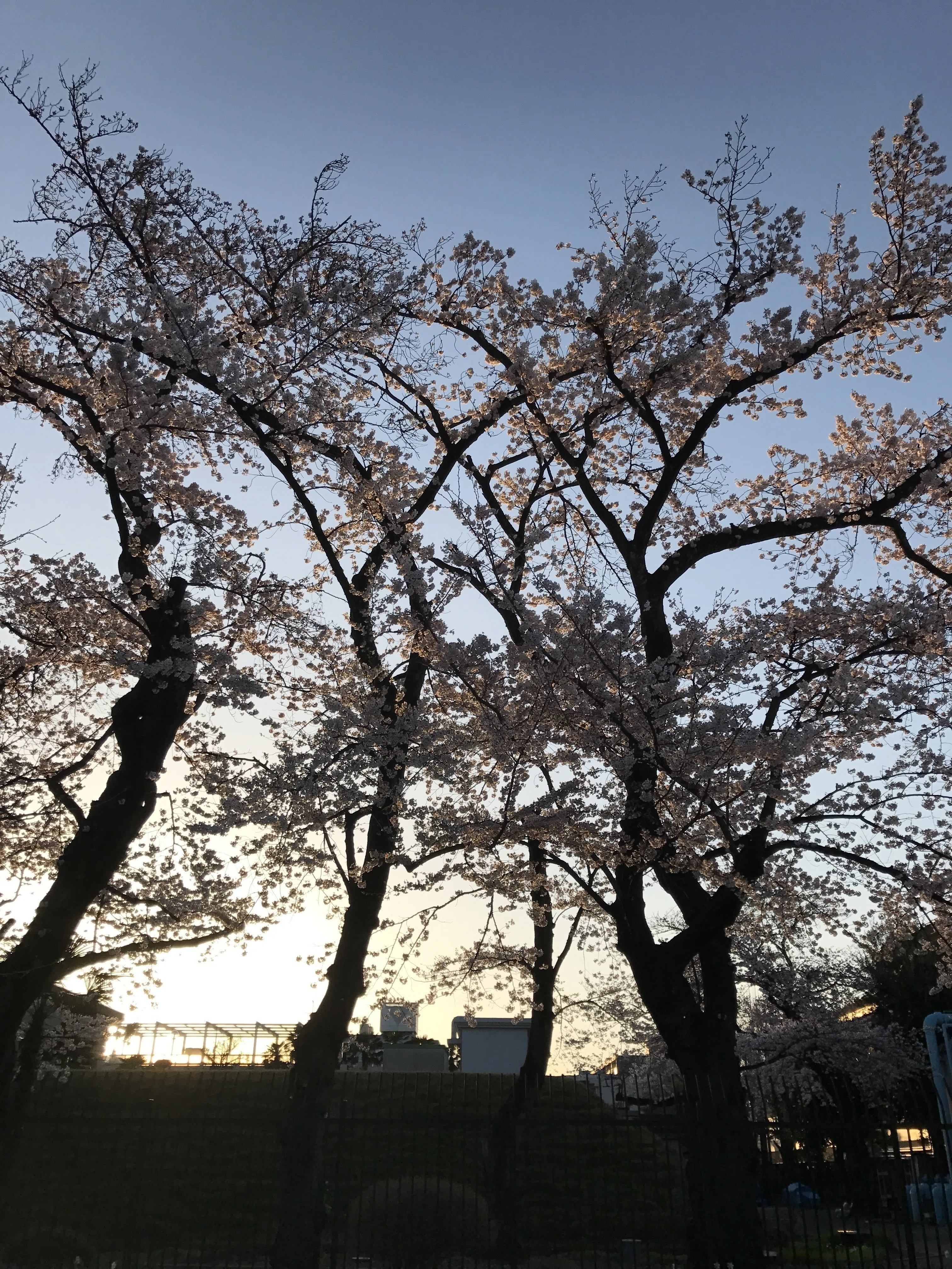 MIZUHO｜note