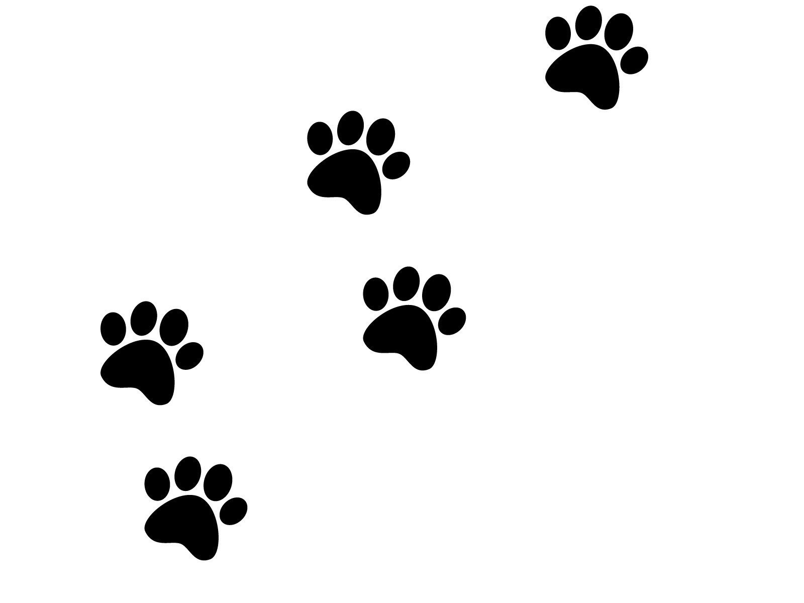 lull@コラボ希望｜note