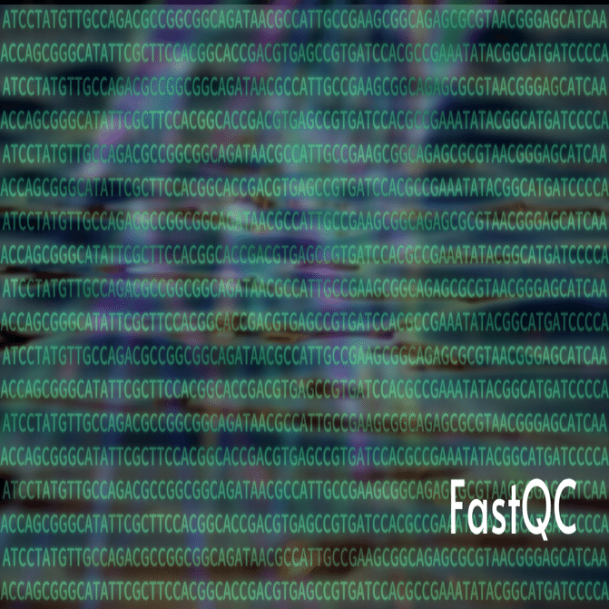 FastQC インストール｜Suzuki Atsuko