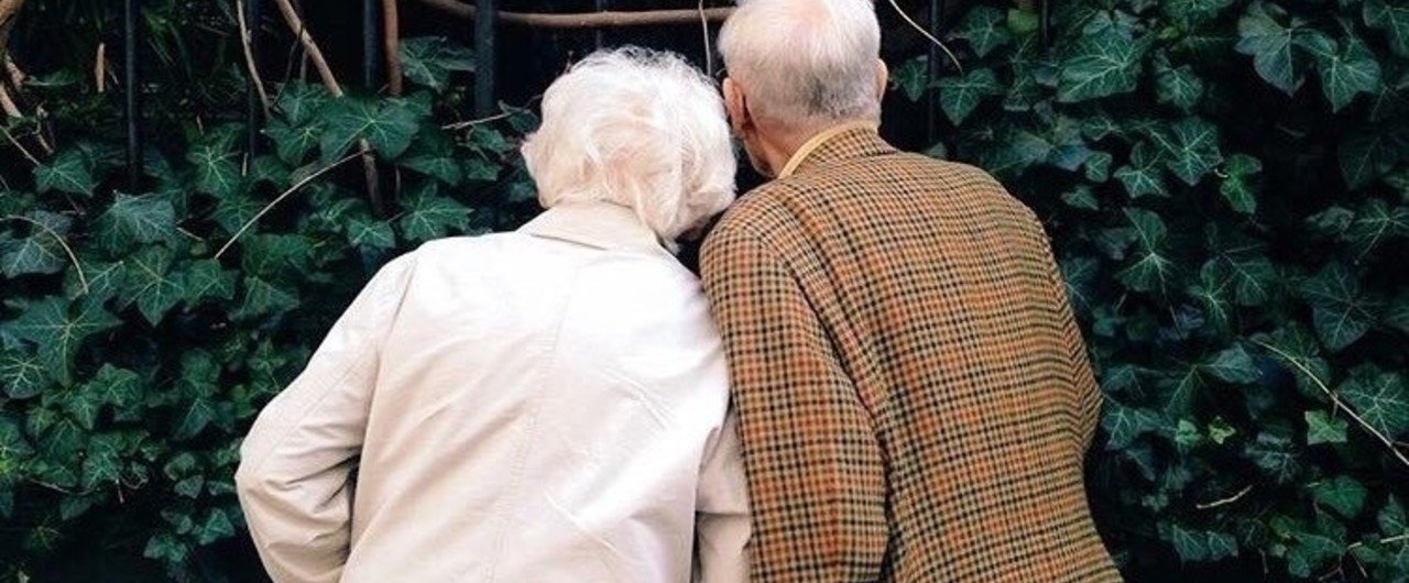 おばあちゃん｜misa aoyama｜note