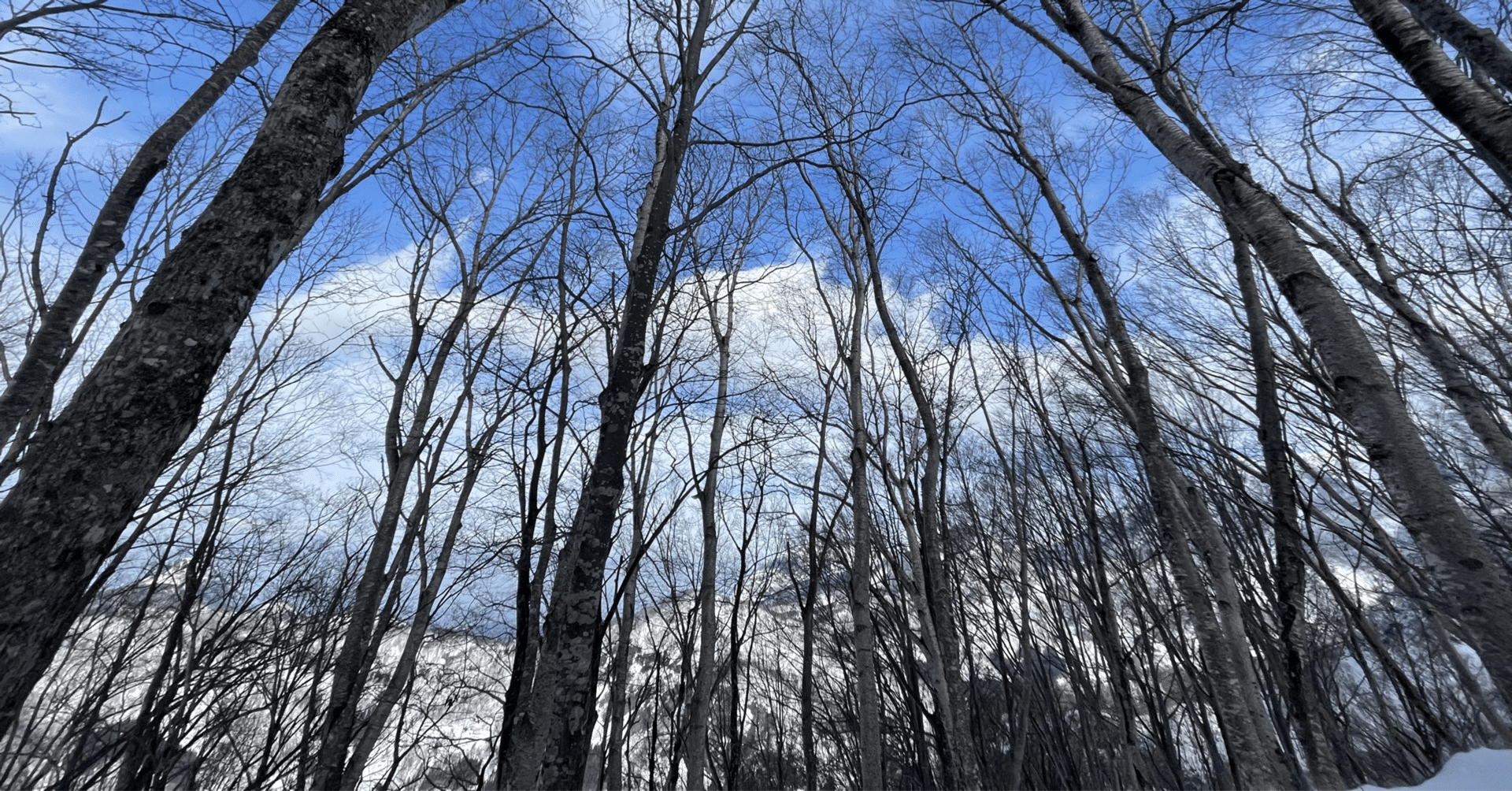 YUYU＠内側側副靭帯損傷したけどUTMF完走したい｜note