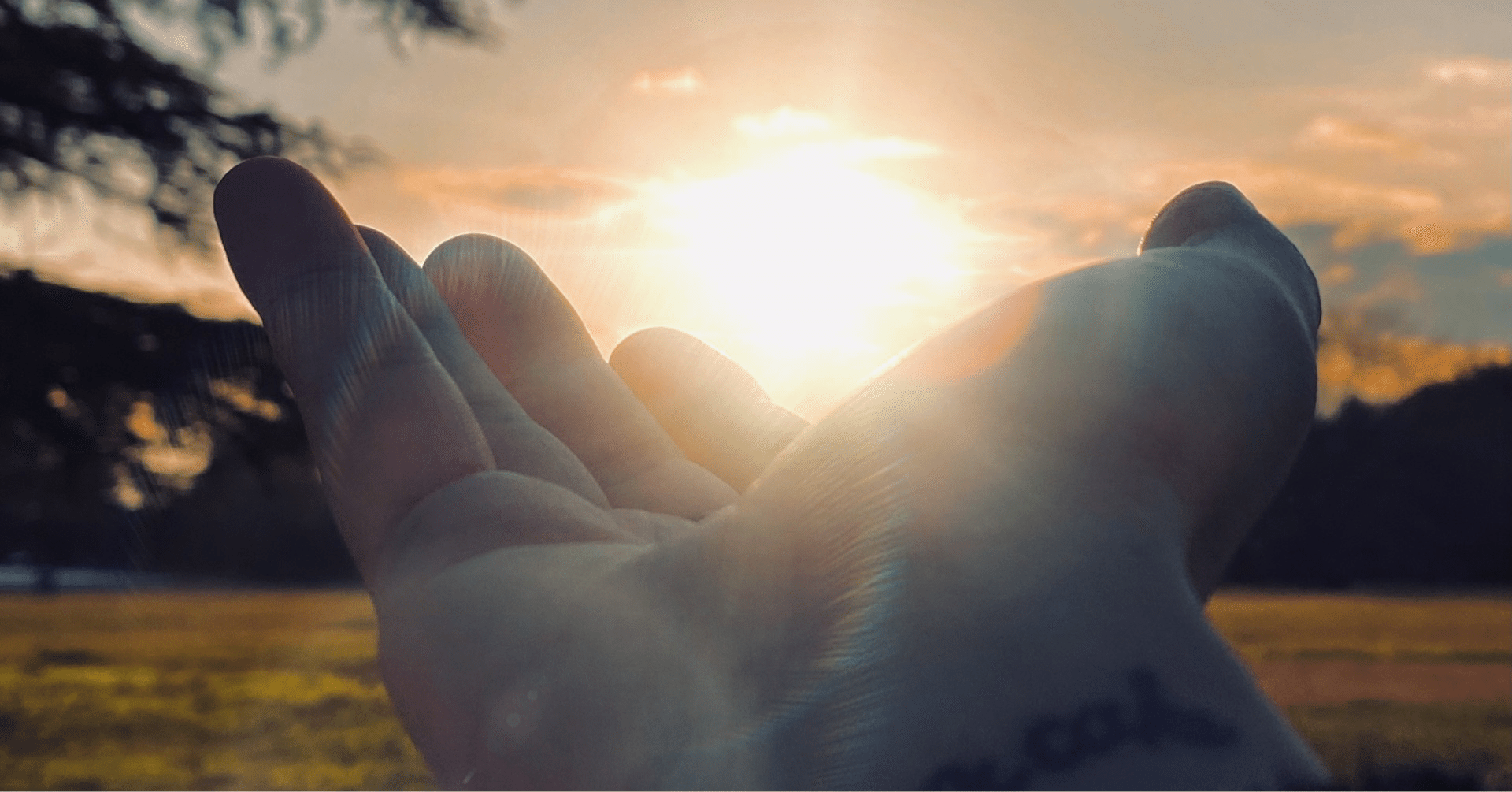 n1n-x2.（ニンニン）｜note