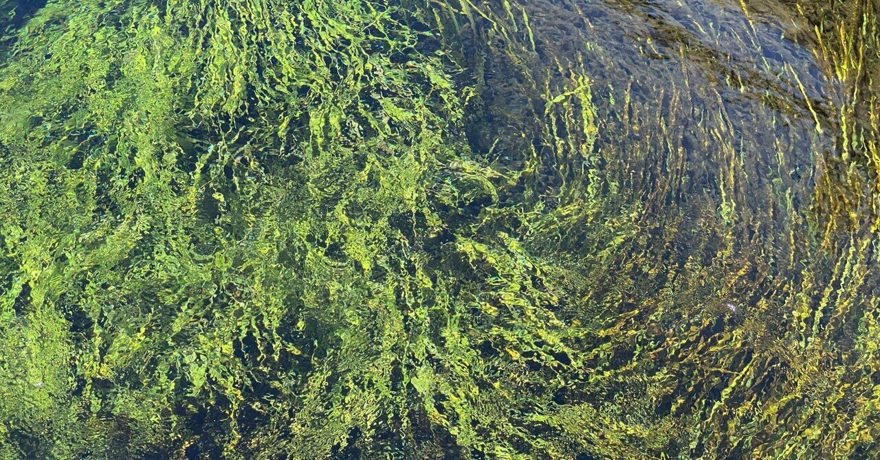 CVNちゃんねるの第1回をアップしました｜Kiyoshi Ishikawa