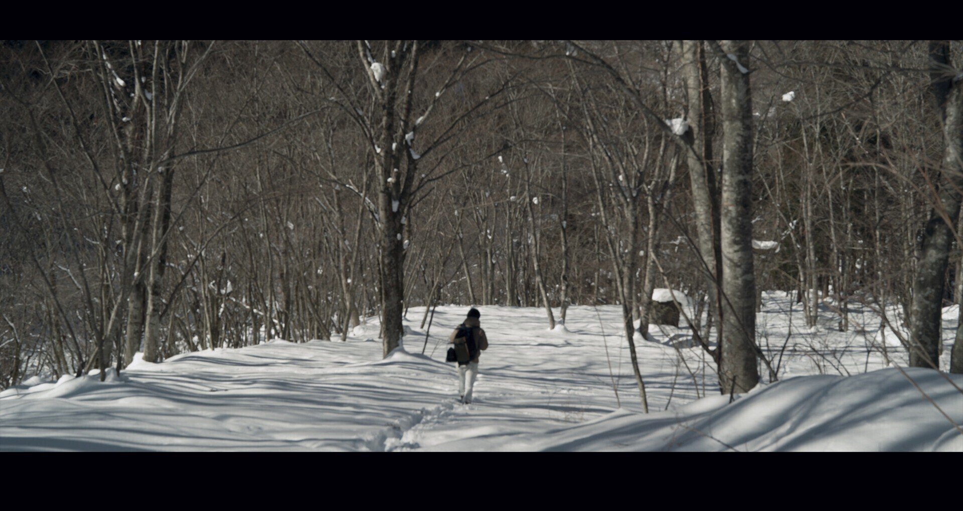 シンディ / Hiroaki Shindo｜note