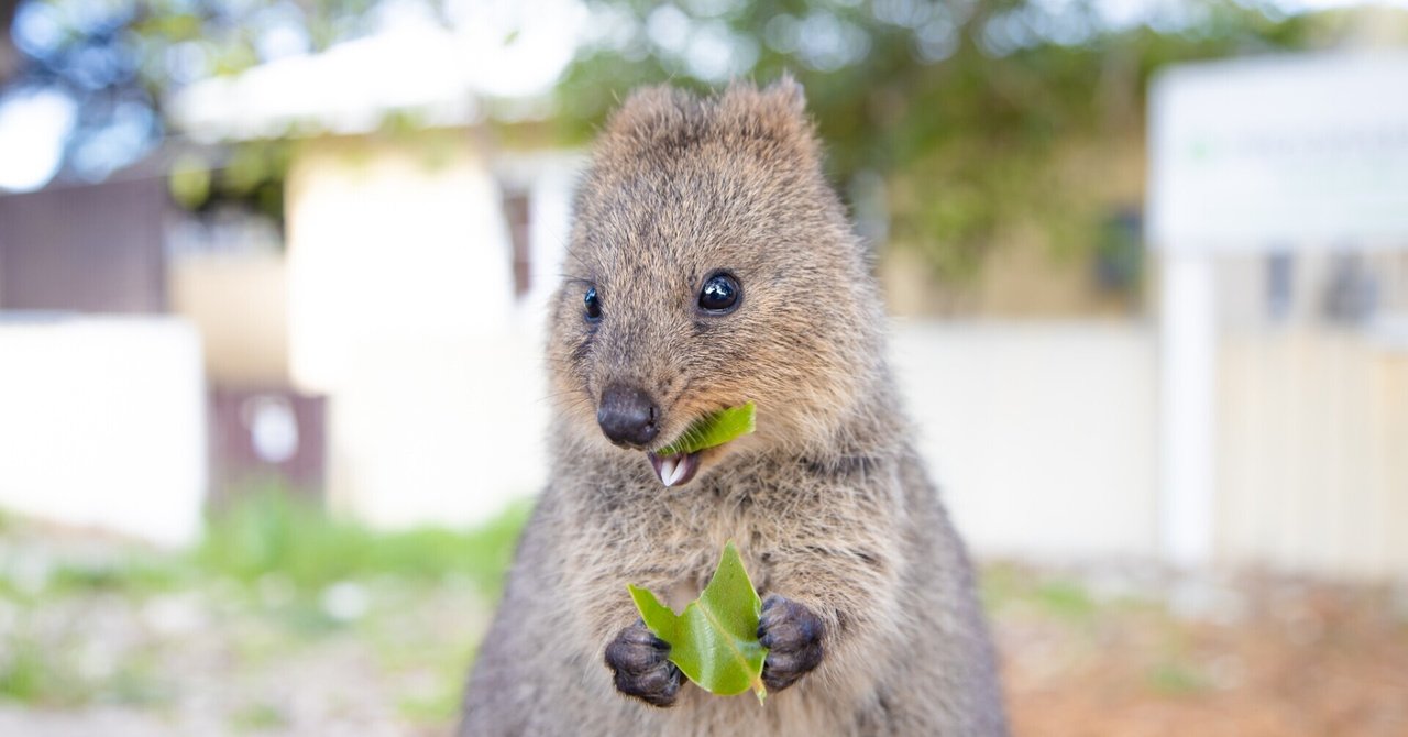 はじめまして！｜Hideaki Edo