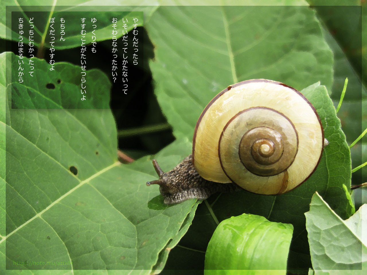 「ボクらはたしかに生きている」に作品を追加しました。 前作は有料となります。 ご笑覧くださいませ〜♪ https://note.mu/artlife/n/nec766cf1e007｜ART 頼風