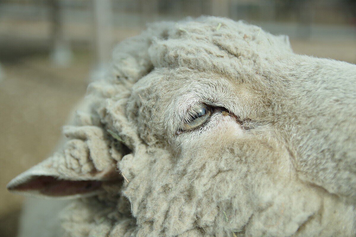 感じ方は人それぞれ 僕の感じたことは 僕のカタチにする そのカタチが何になるのか それは分からないけれど だからこそカタチにすることが 大切なんだと思っている そこには無限の 可能性があると ...