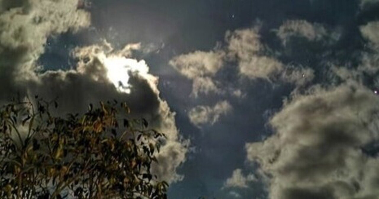 Moon Sick Ep.16｜樹