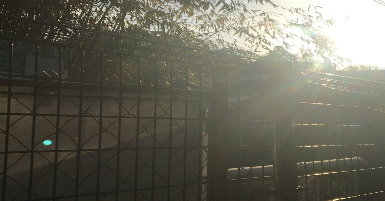 HSPのお茶会をします｜Miho Iinuma｜note