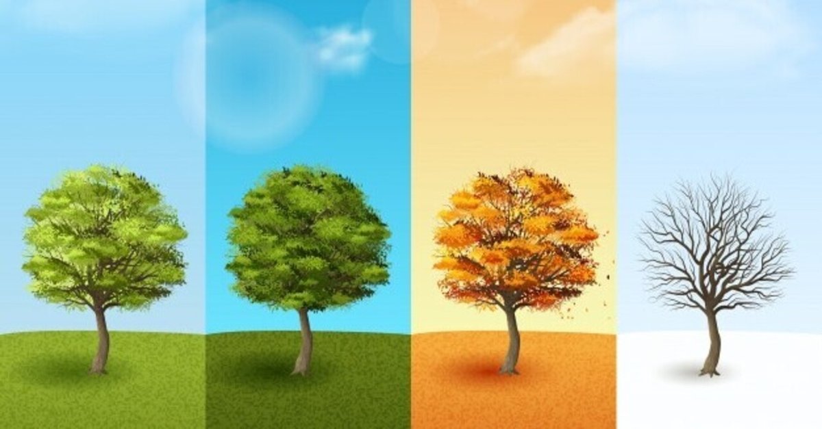 Nコン課題曲「手をのばす」の思い出話や解説Ⅰ｜Ko-nosuke.