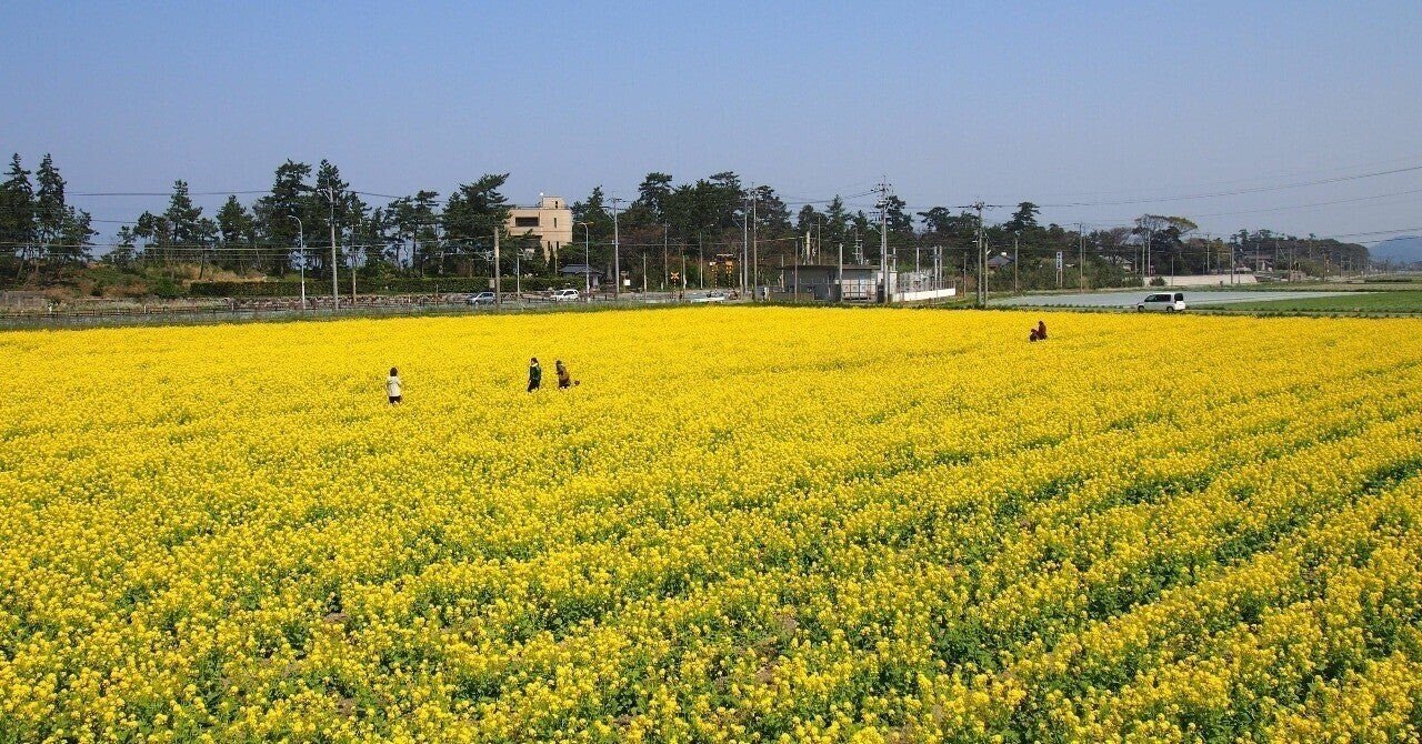 3月プログラムのご案内【東日本大震災から10年・国際女性デー】｜Syncable（シンカブル）| 寄付集めに役立つ情報を発信中！