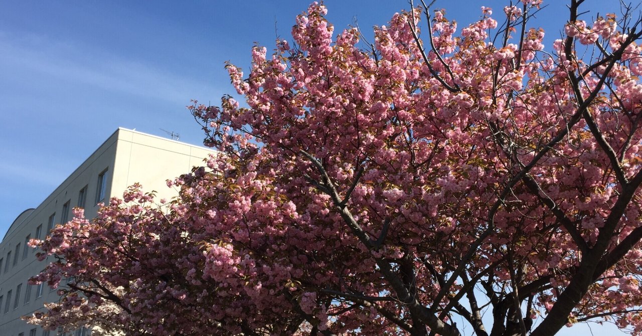 まずはじめに自己紹介③｜ma-hideの挑戦マスター｜note