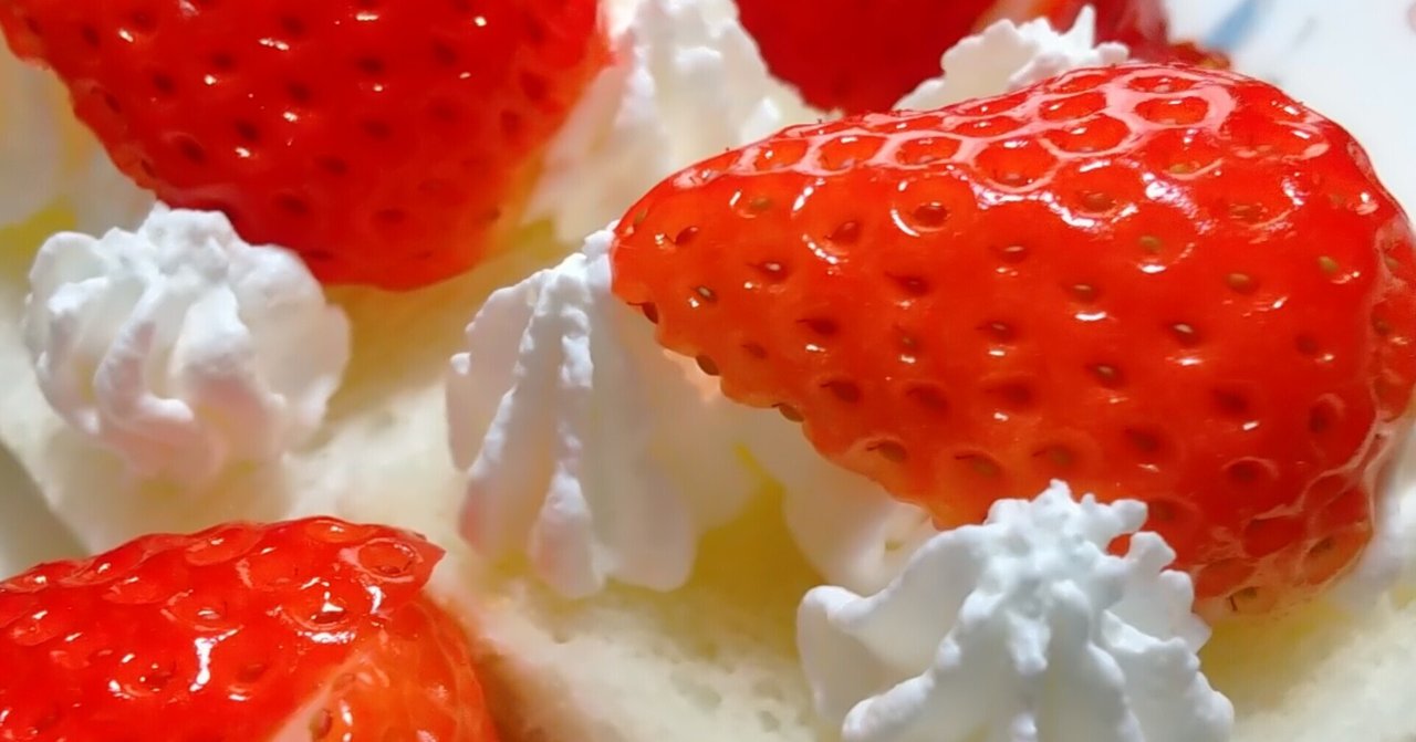 CD発売日の朝｜usagi no migite