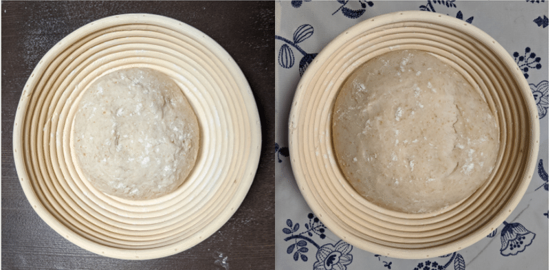 Sourdough Diary #14｜moneri｜note