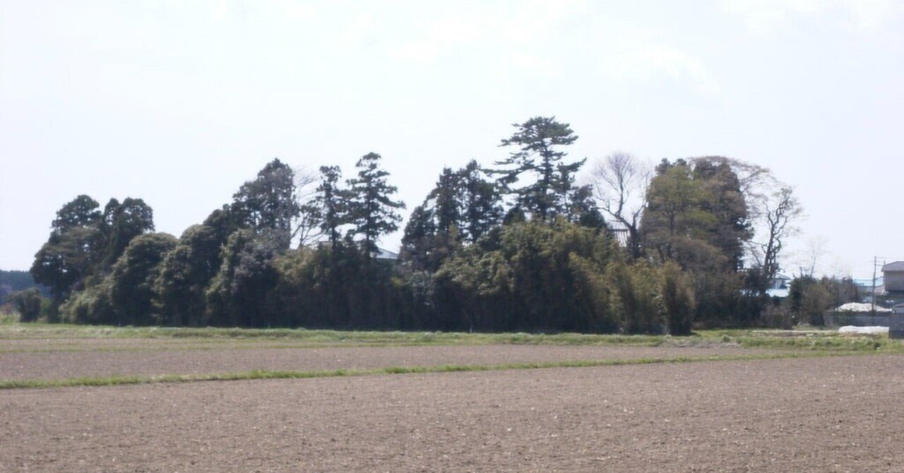 震災と居久根（屋敷森）のこと｜ken okai | 界隈創造舎