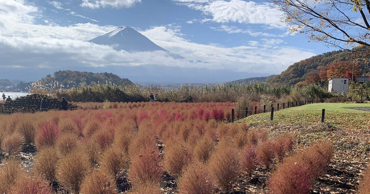 僕の大学生活②｜Yocchi｜note
