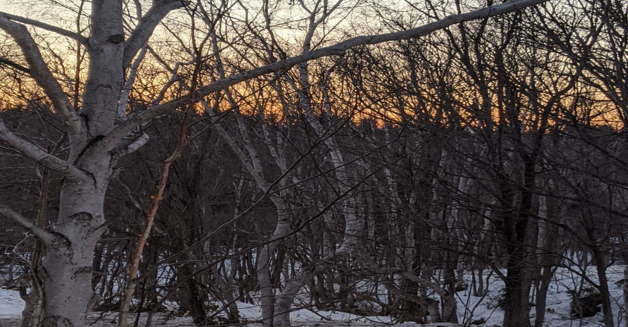 新体制開始｜yutty｜note