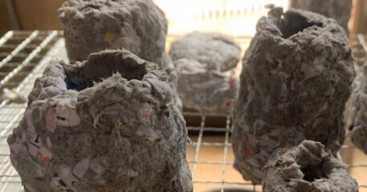 息子と「紙薪」をつくる｜OGIRO Shingo