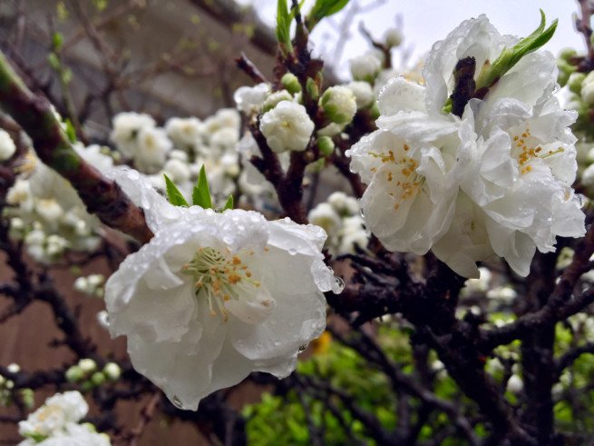 妻之友外用避妊薬:http://www.hikanpou.com/product/%E5%A6%BB%E4%B9%8B%E5%8F%8B ...