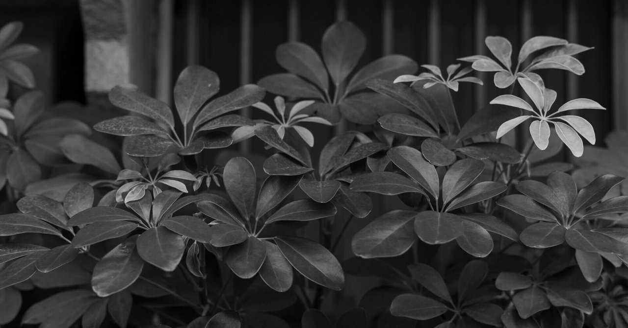 対話をするなら①：L&L別冊｜Lisa Ito