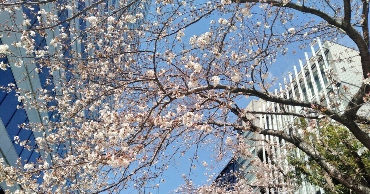 いつまでも2017年3月1日をこえられない｜usagi no migite