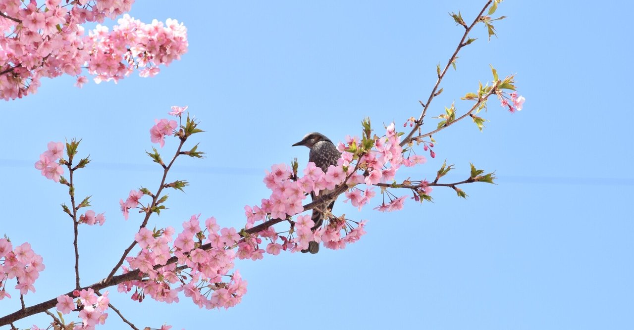 愛と受容の自給自足｜suto｜note