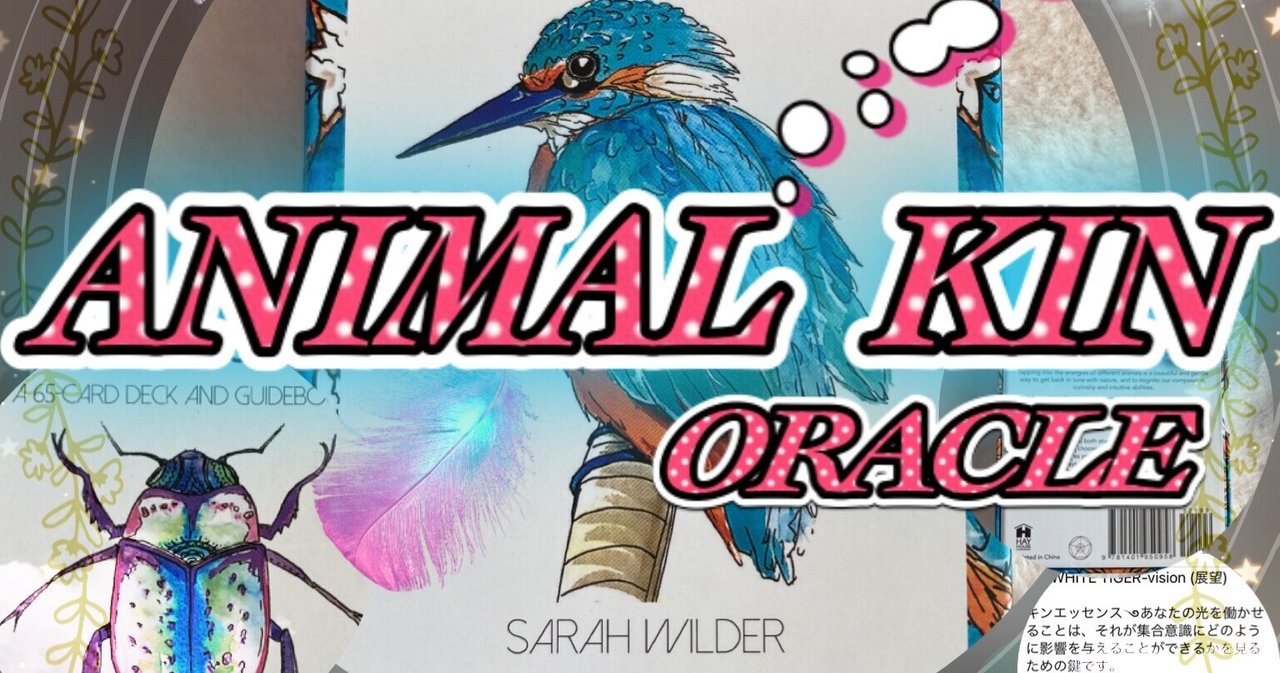 ANIMAL KIN ORACLE｜はこちんゆー