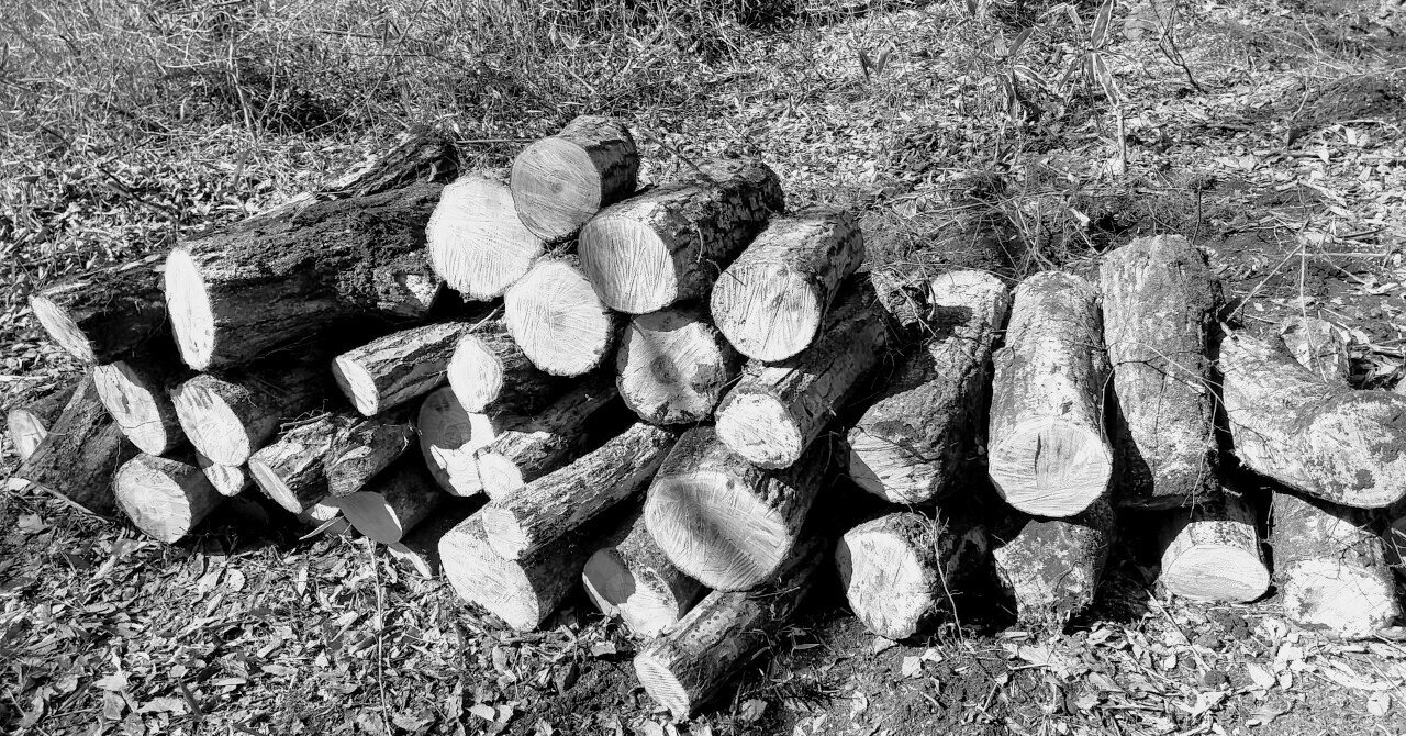 SMART BASE｜MAKO.oz｜note