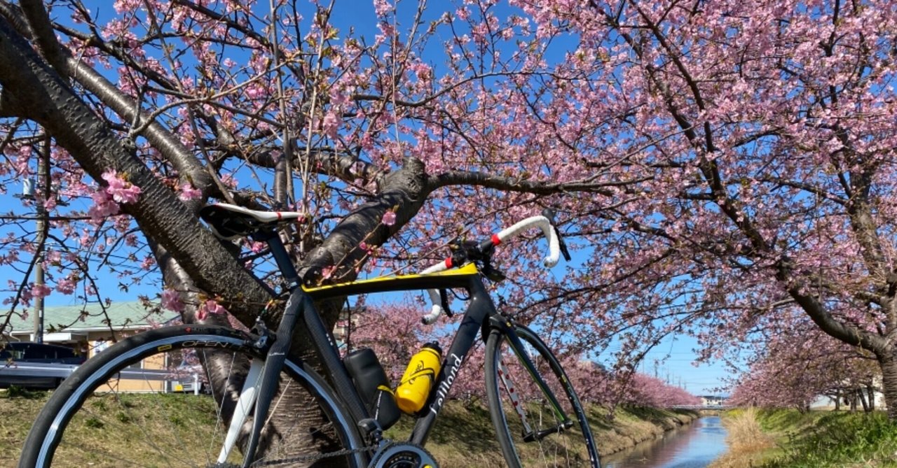 埼玉・安行桜河津桜ポタリング99km｜西川正治