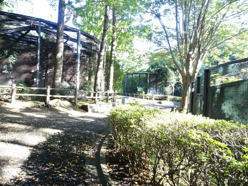 【ZASO:044】栃木県 #八幡山公園動物広場｜ZASOちゃんねる