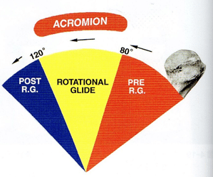 肩関節周囲炎を診る上で必要な知識②関節、関節包｜小林 博樹
