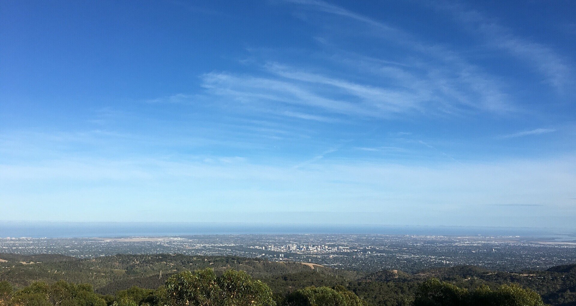 Ryoma Hashimoto｜note