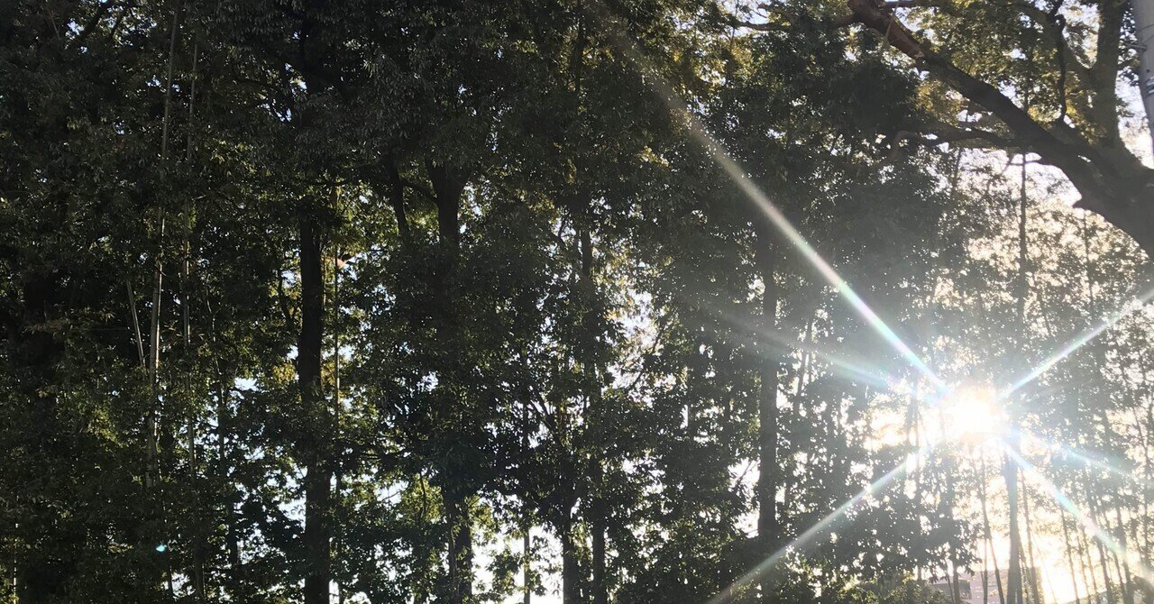 命は太陽の光のように｜吉村 元輝 (Yoshimura Genki)｜note