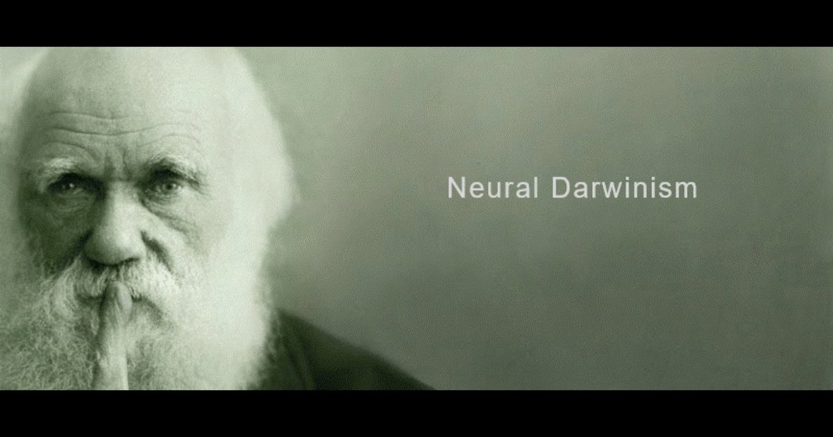 神経細胞群選択理論：標準的な運動発達におけるバリエーションを説明するためのフレームワーク(The neuronal group ...
