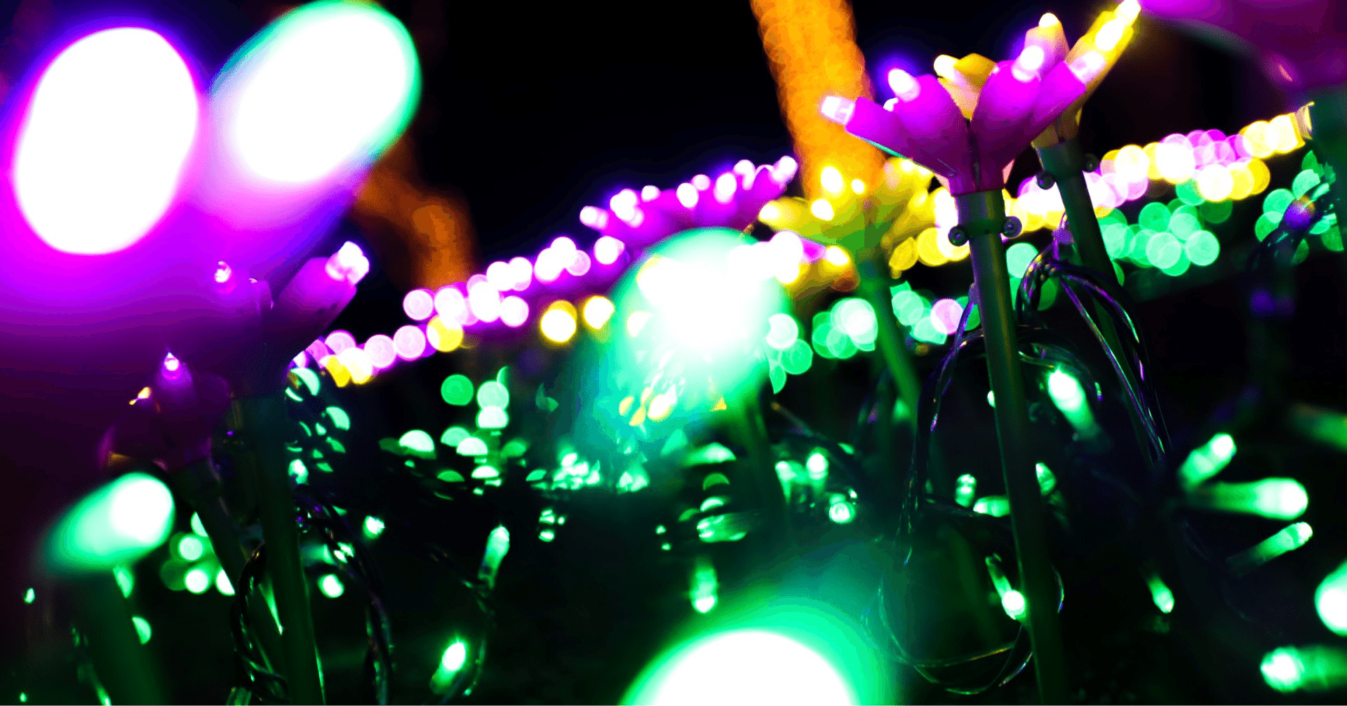 deguchi_shunya｜note