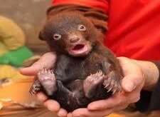 成人期IQ124の世界（1）｜人生のつまづきを一緒に乗り越えていきたい・ひーさん｜note