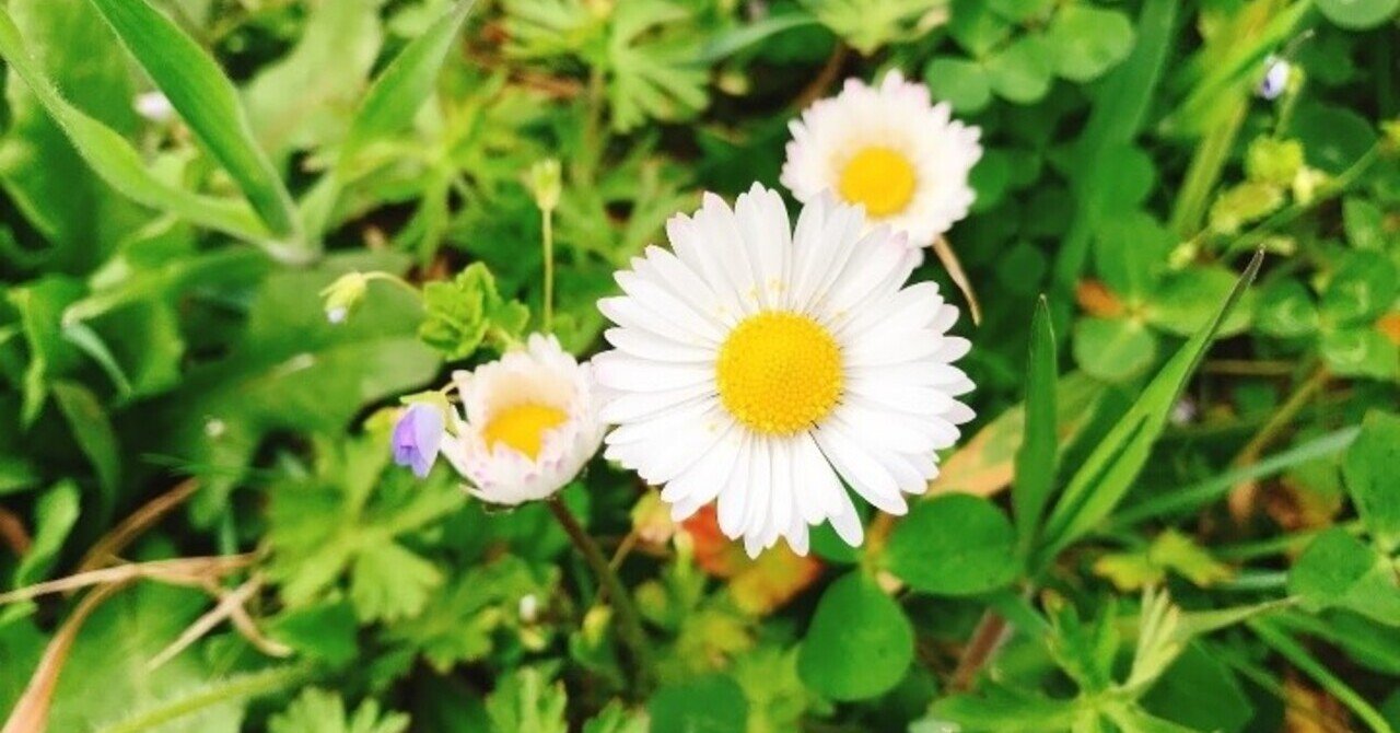 Episodio 4 イタリア料理を志したAtsu Miro｜Atsu Miro