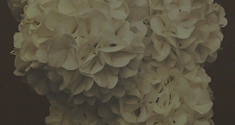 Izumi Shimada｜note