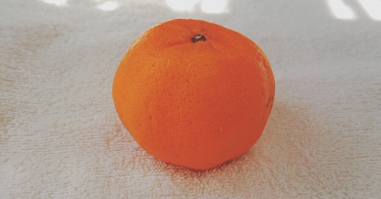 手紙｜miyuma のーこ ┃みんな大好きよ｜note