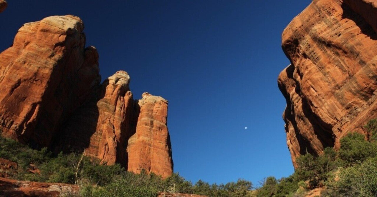 【密やかな結晶】小川洋子を読んで｜sikuramen｜note