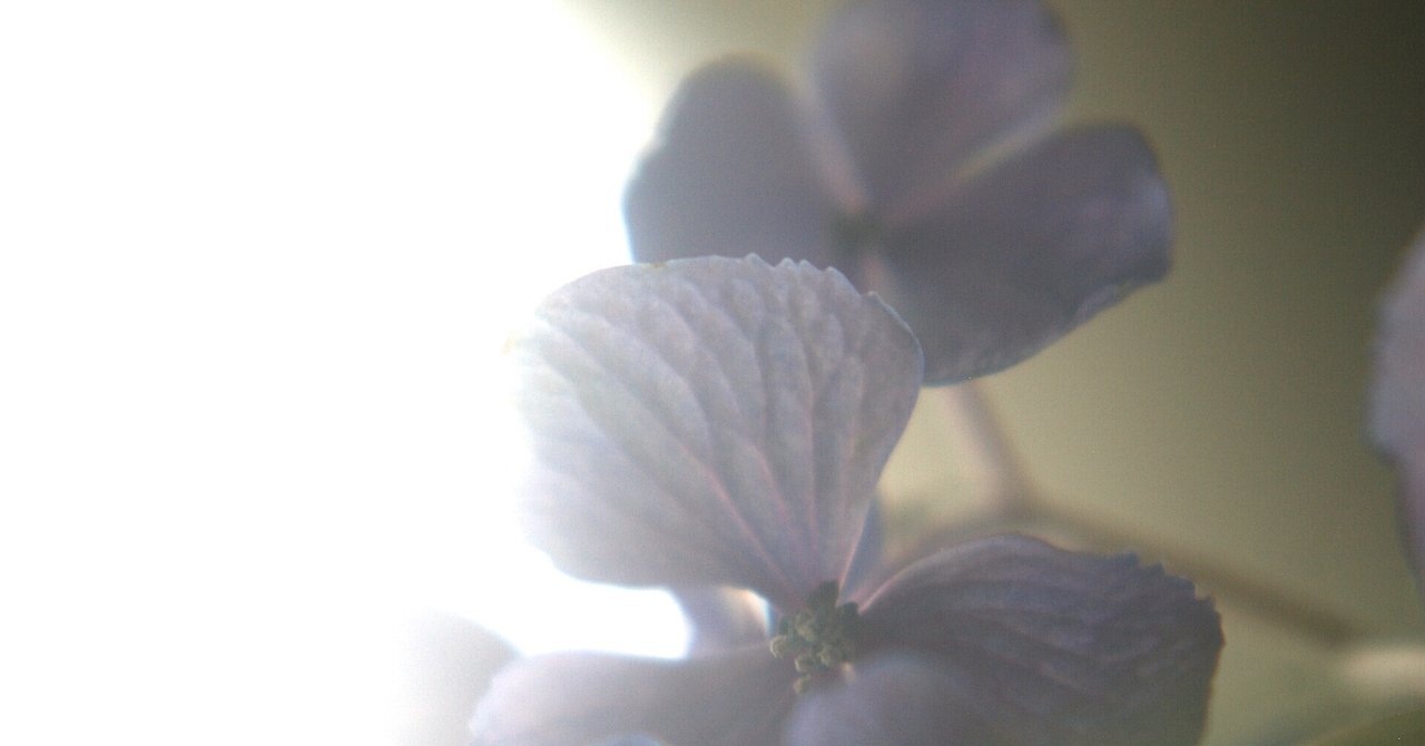 花みくじ｜Cosmic Suzu