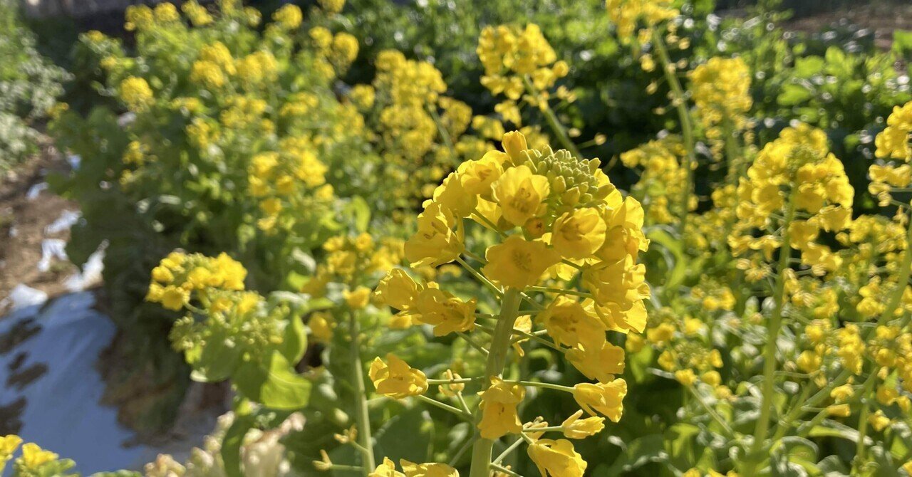 人と争えない｜warab_ee｜note